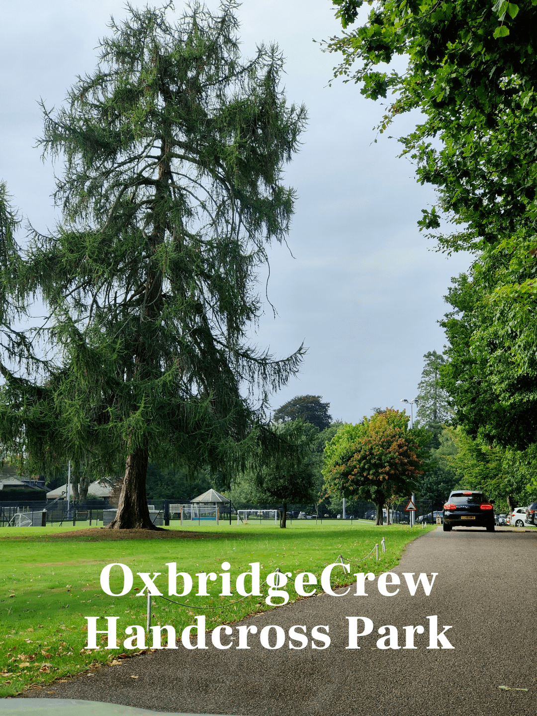 陪同入学Handcross Park，开学第一天孩子们竟直接“玩”成了一片 | 牛剑儿中小学留学