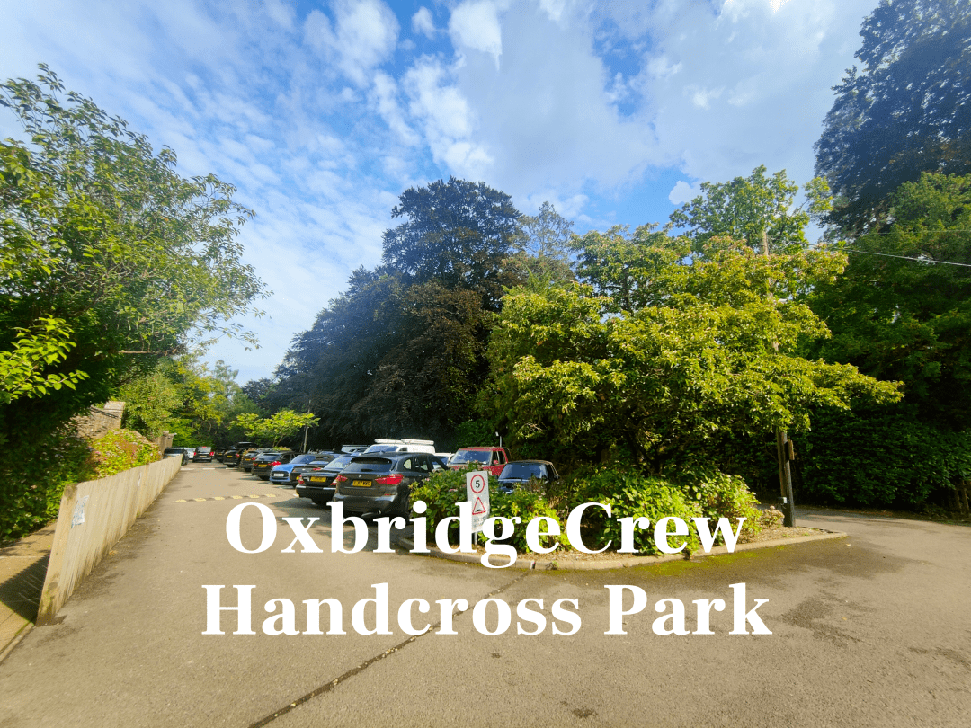 陪同入学Handcross Park，开学第一天孩子们竟直接“玩”成了一片 | 牛剑儿中小学留学